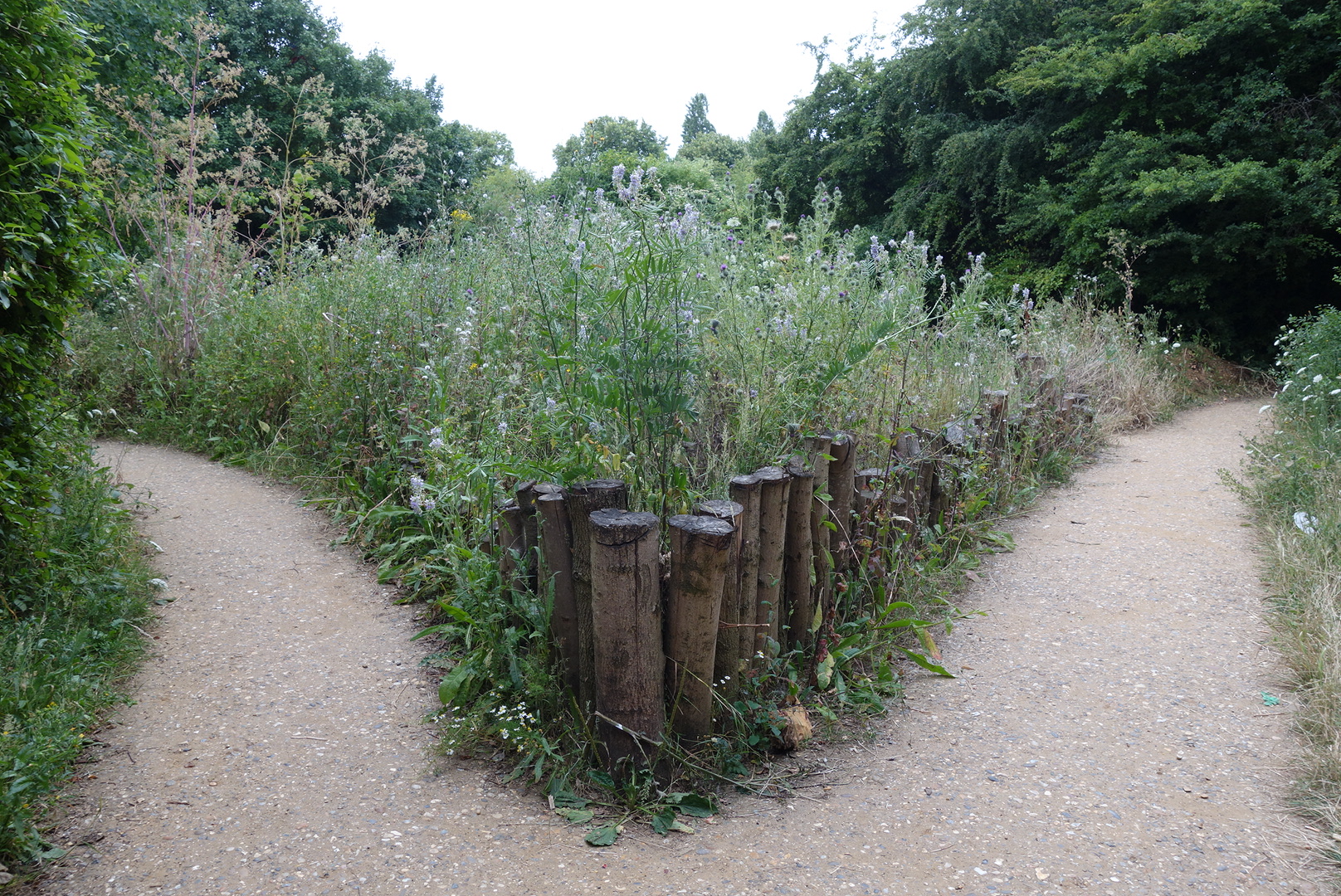 Stave Hill Ecological Park. A small nature reserve in the heart of the city