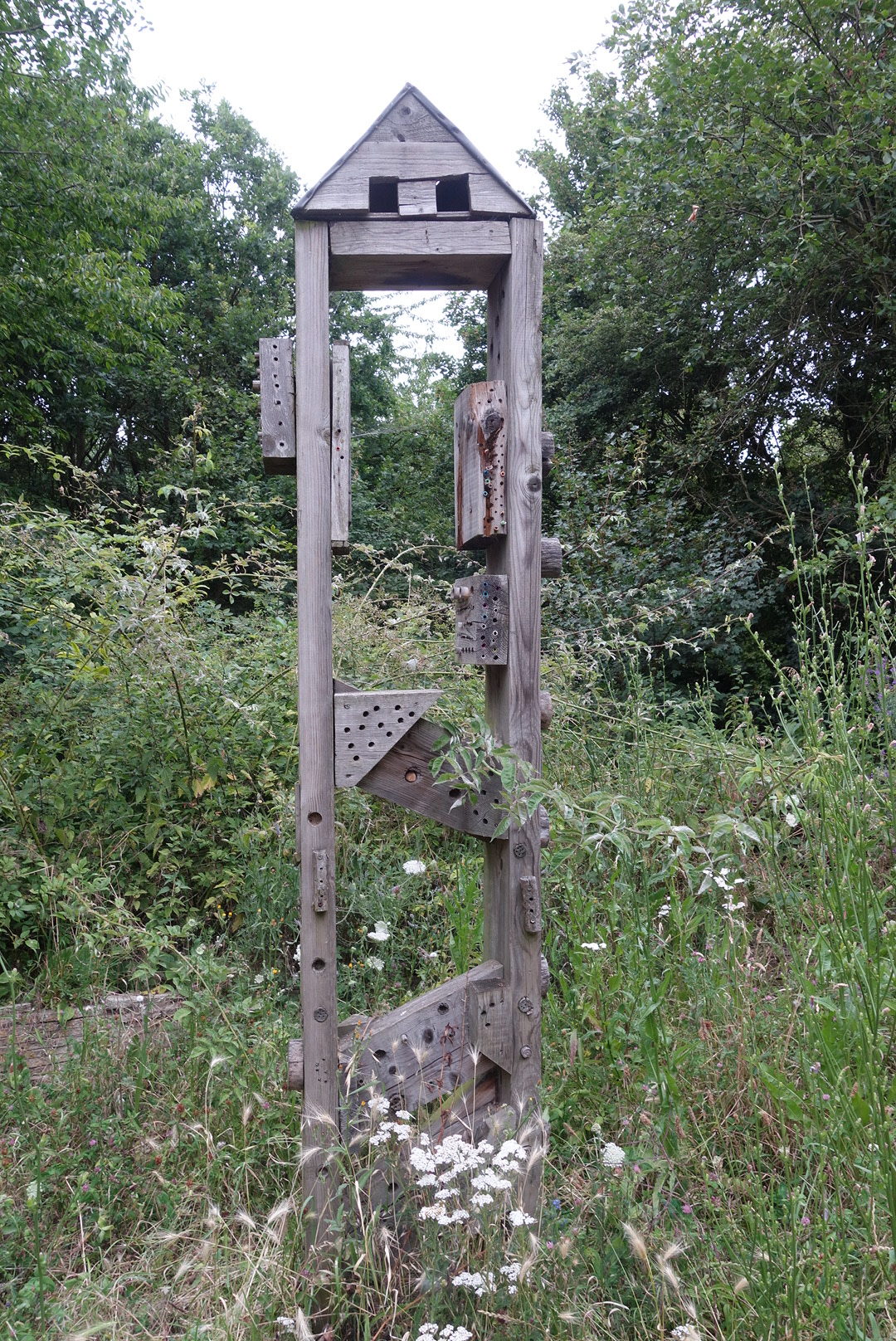 Stave Hill Ecological Park. A small nature reserve in the heart of the city