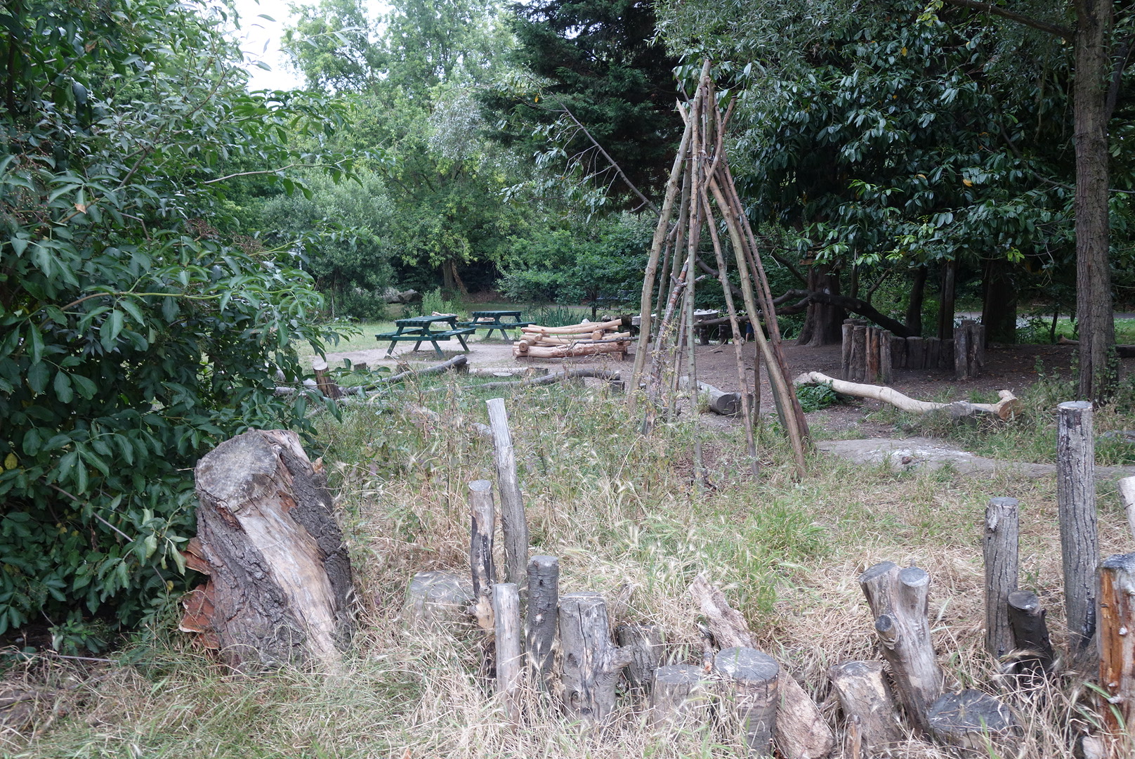 Stave Hill Ecological Park. A small nature reserve in the heart of the city