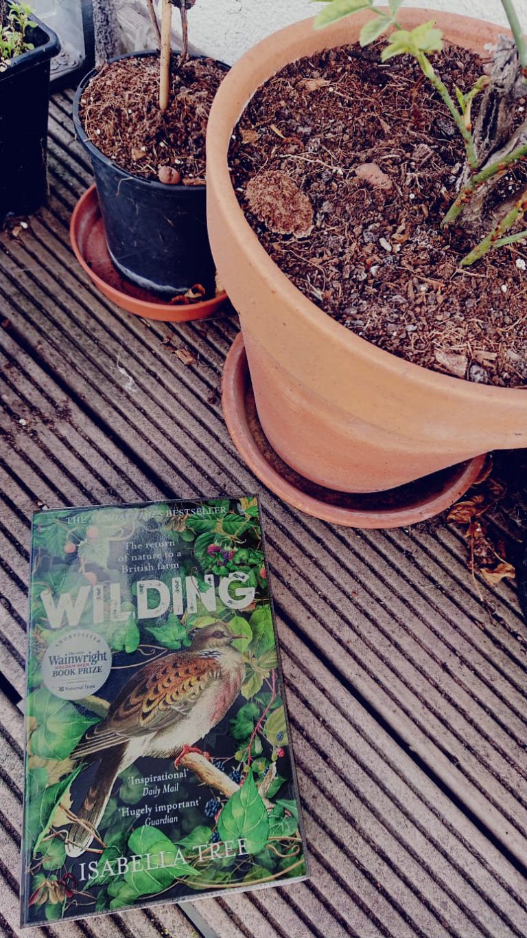 Wilding Eco Book Review: The return of nature to a British farm