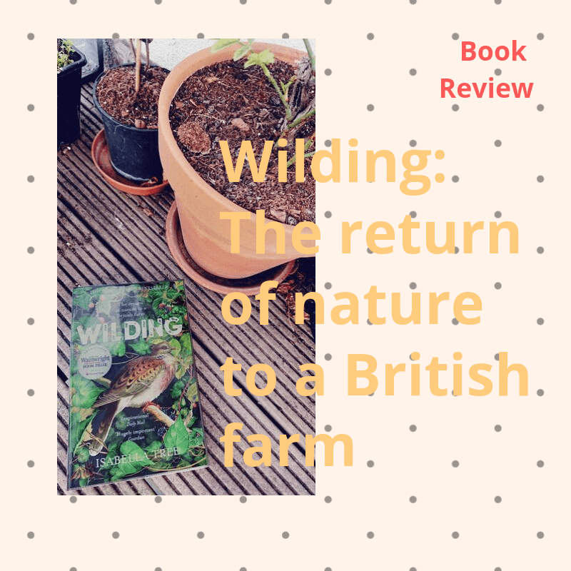 Wilding Eco Book Review: The return of nature to a British farm