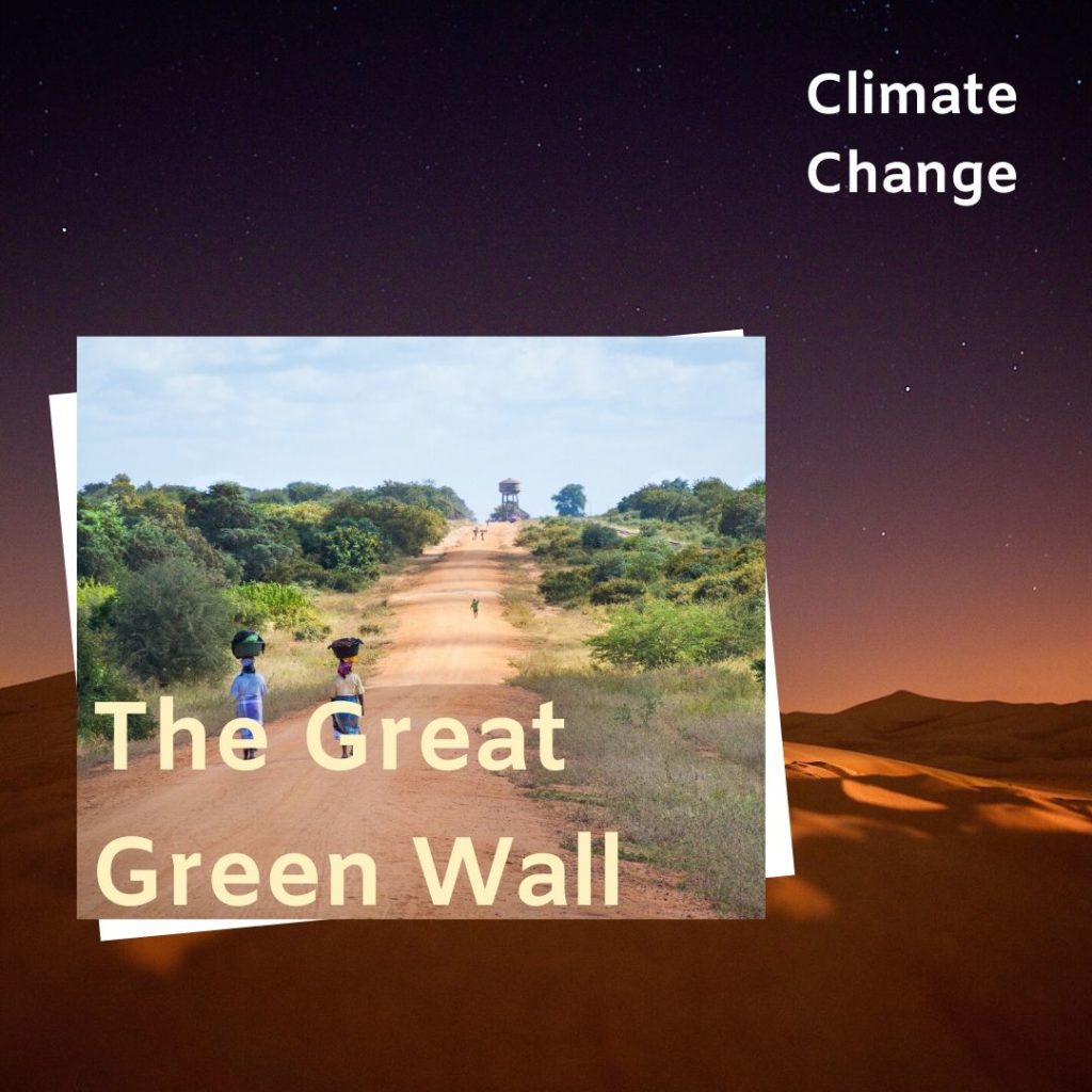 The Great Green Wall in Africa. The Sahel, the southern edge of the Sahara.