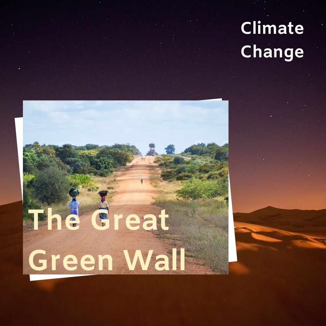 The Great Green Wall in Africa. The Sahel, the southern edge of the Sahara.