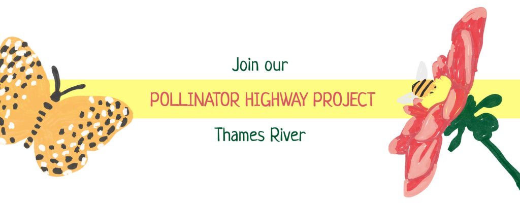 POLLINATOR HIGHWAY PROJECT - Eco Around